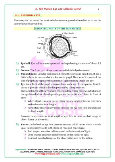 CBSE Class 10 Science Notes Chapter 11 Download in Pdf | Toppers CBSE ...