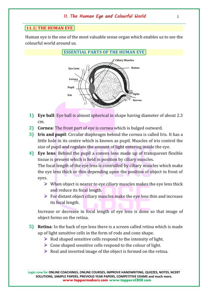 CBSE Class 10 Science Notes Chapter 11 Download in Pdf | Toppers CBSE ...