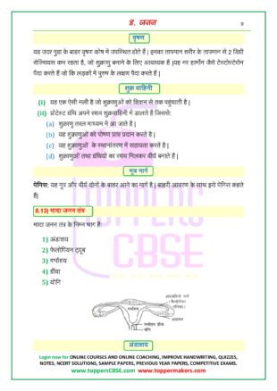 Class 10 Science notes in Hindi Chapter 8. जीव जनन कैसे करते है ...